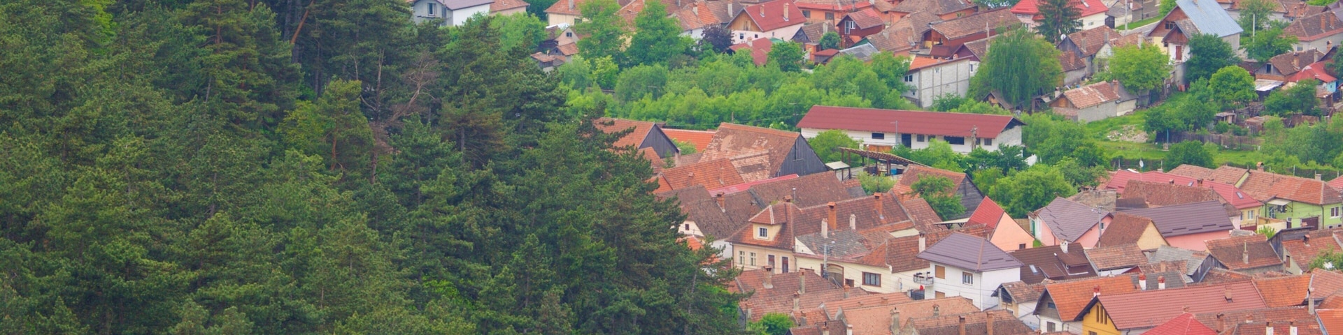 Rasnov mostrando arquitetura de patrimônio e uma casa