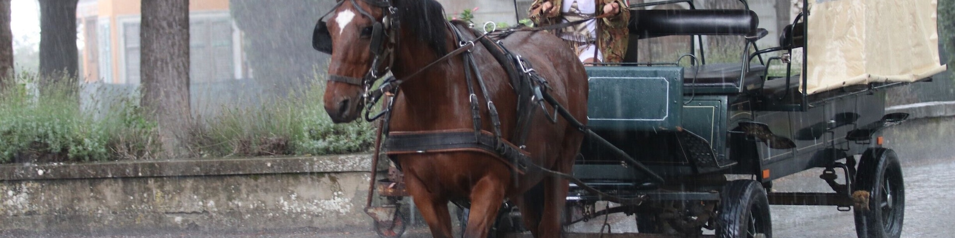 A Tuscan cowgirl in a hailstorm. Not often you see that.