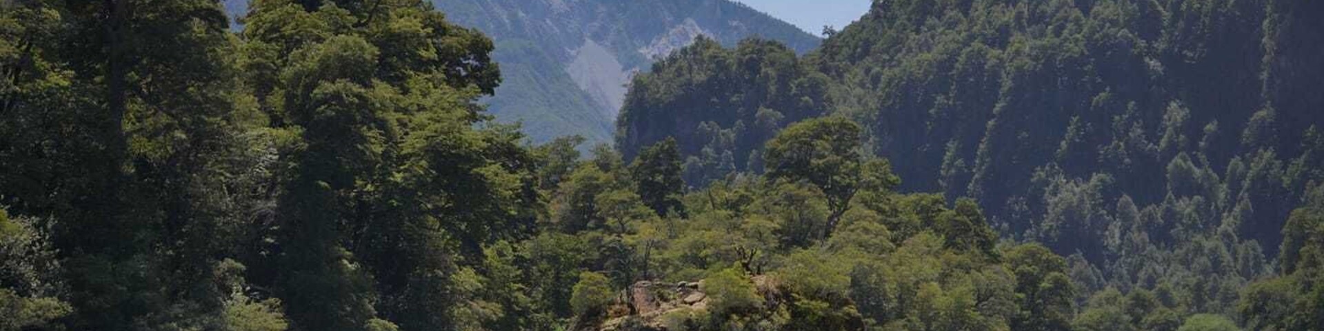 Love it... or not :D, it's still one of the most impressive whitewater stretches in the world (mainly class IV and V rapids, with a few class III rapids).
This is Casa de Piedra (V), on the Puente a Puente + Macal sections.
I've been dreaming to paddle Futa for more than 10 years. It was very intense and some of the biggest and most challenging water I've ever seen... but to me, the river felt cold (and I'm not referring to its temperature).
Still, it's been a crazy ride and I'm thankful for it!
#waterlust
P.S. Here are some thoughts on our Futa descent + on our current global situation (link in Romanian)--
https://bit.ly/3bZq2gl