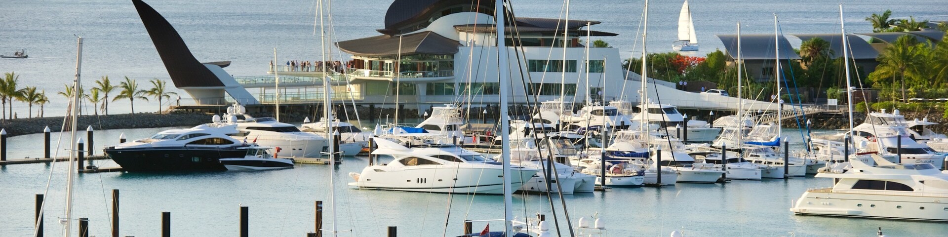 Uma marina com vários iates atracados, um grande veleiro com uma vela distinta e um edifício com design moderno ao fundo.
