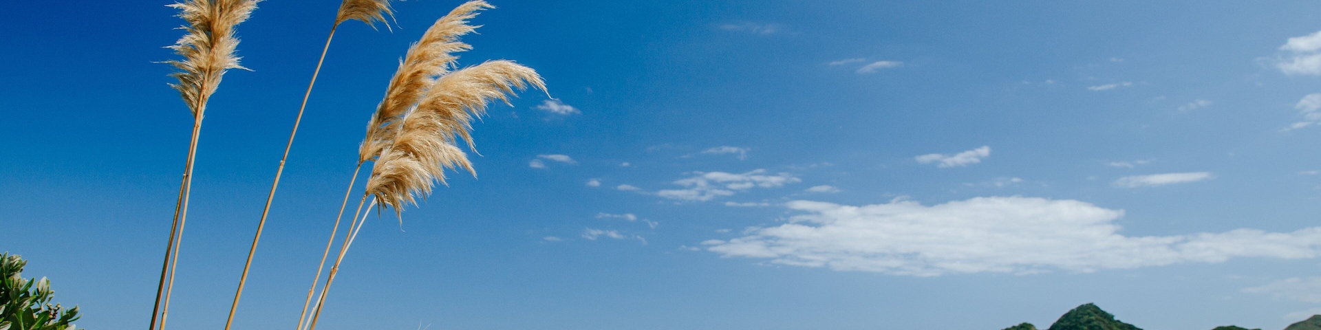 Bethells Beach showing a beach and general coastal views
