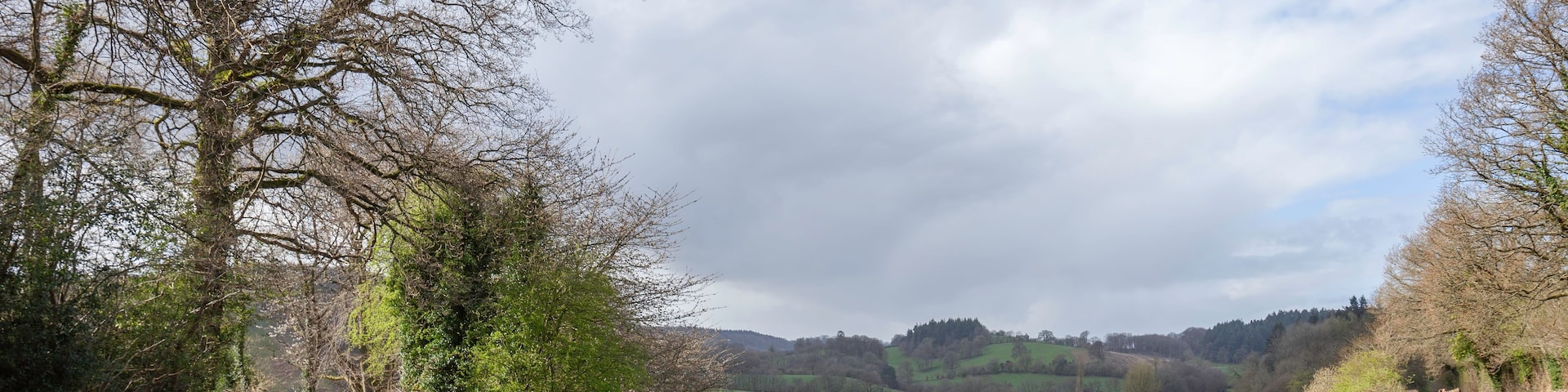 Paisagem rural com uma trilha de terra, árvores sem folhas e colinas ondulantes ao longe.