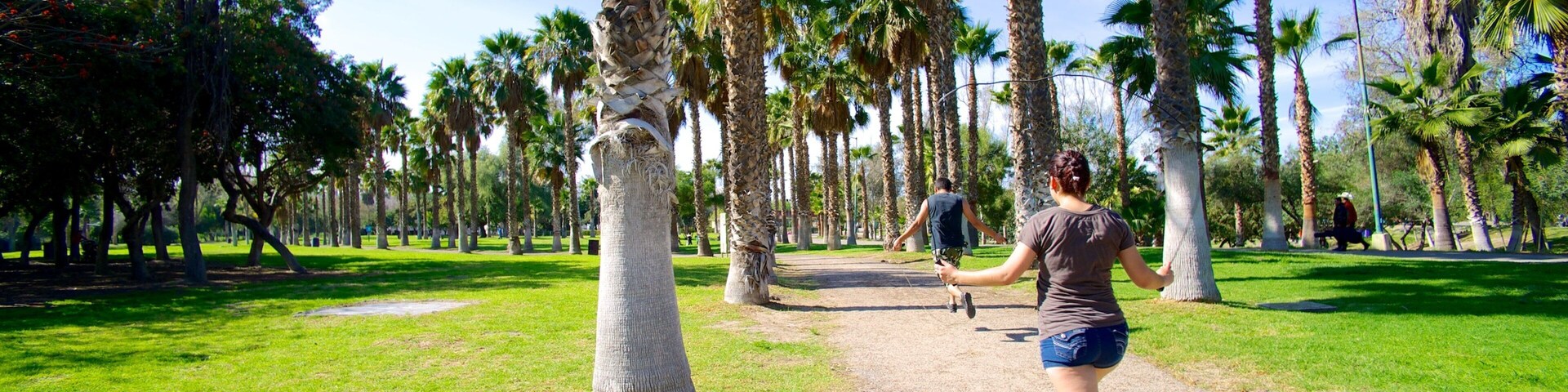 Parque Morelos mostrando um jardim assim como um pequeno grupo de pessoas