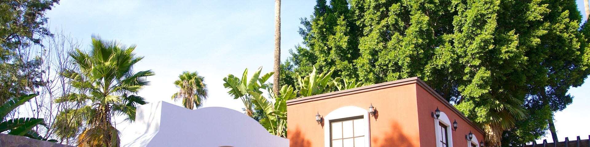 Um edifício com portas em arco, rodeado por palmeiras e vegetação.