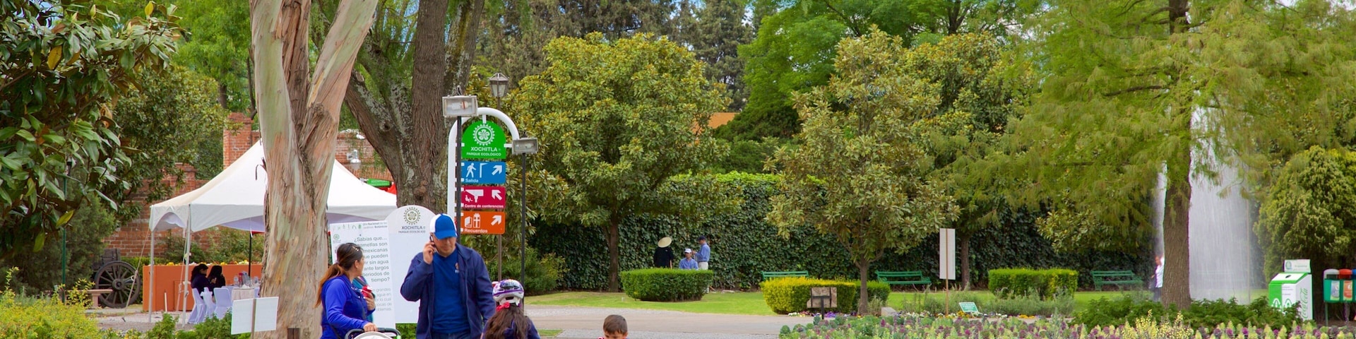 Xochitla caracterizando flores silvestres e um jardim assim como uma família