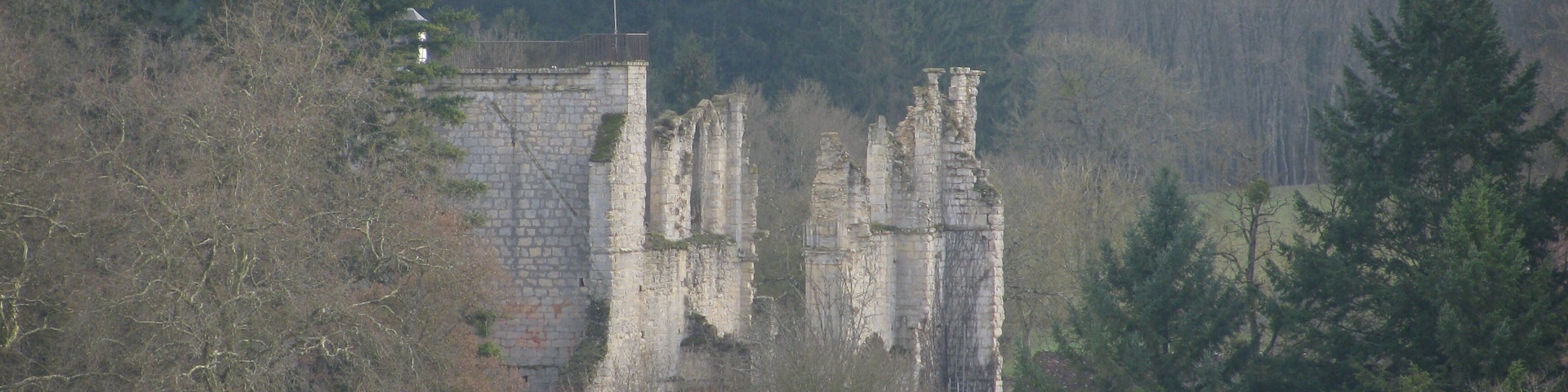 L'église ruinée du prieuré de l'épeau, Nièvre, France.