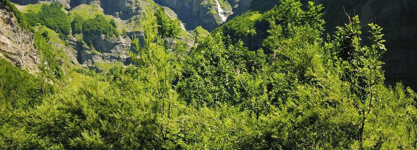 Randonnée dans la vallée de Sixt-Fer-à-Cheval.