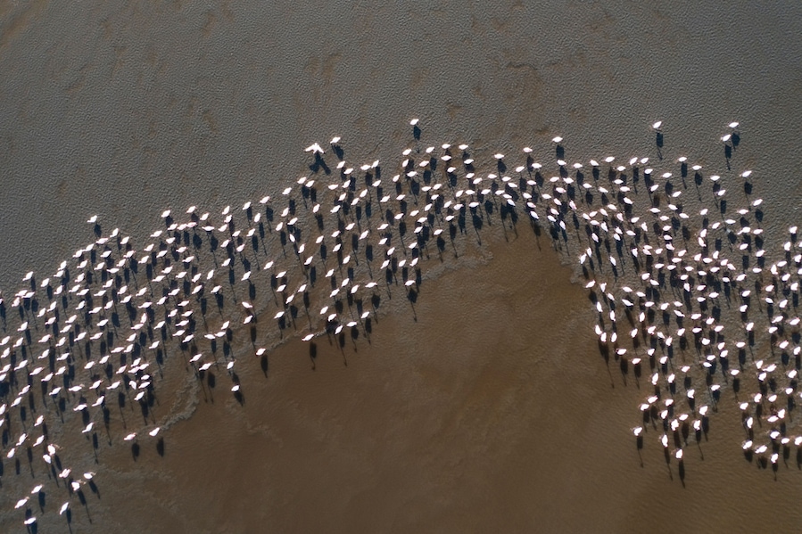 Um grande grupo de pessoas em semicírculo em uma praia de areia.
