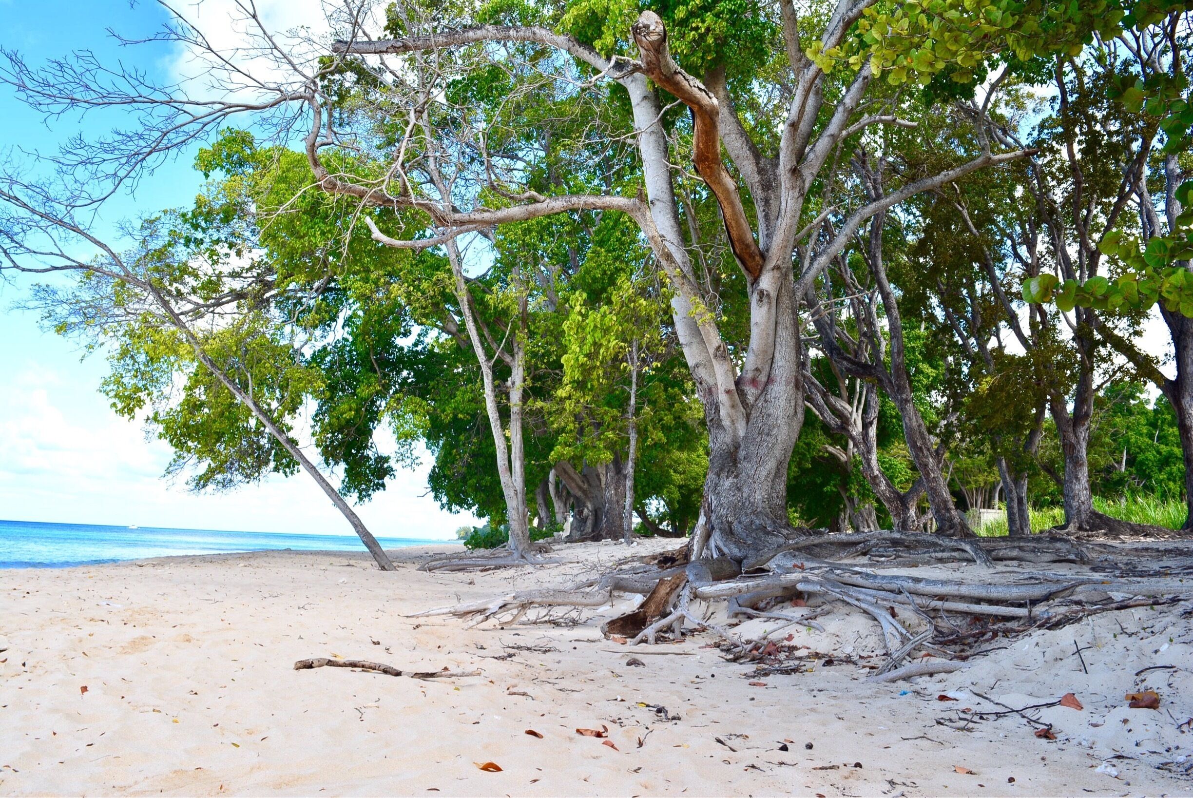 Beautiful spot where you can enjoy a sunbathing in wild 