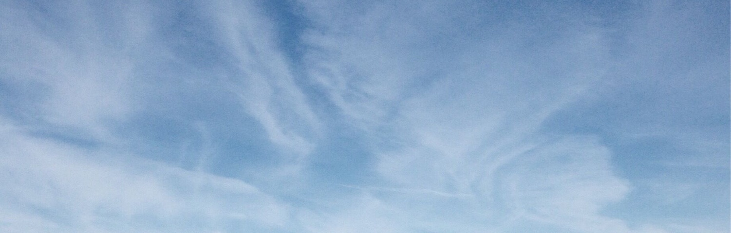 With the wind in the hair... Enjoying a good dutch coastline. #beach #netherland #travel