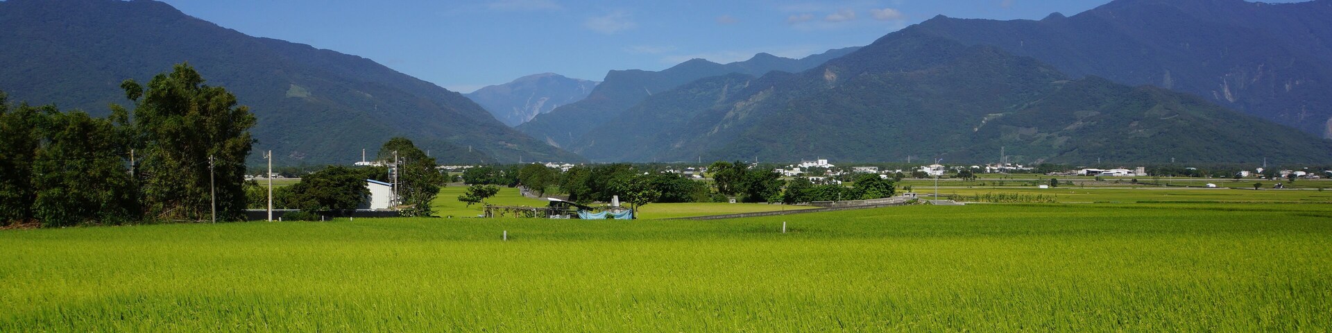 下新興 Xia Xinxing