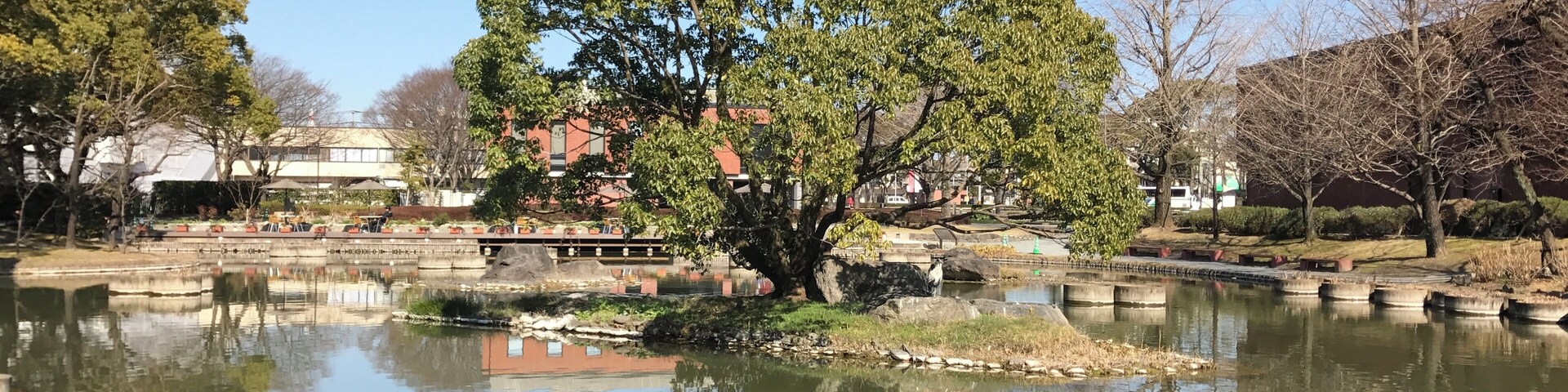 Um parque tranquilo com uma grande árvore, um lago e uma ponte.