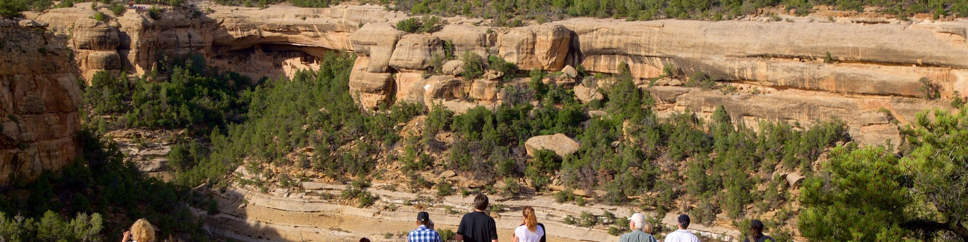 Mesa Verde National Park showing views, landscape views and a gorge or canyon