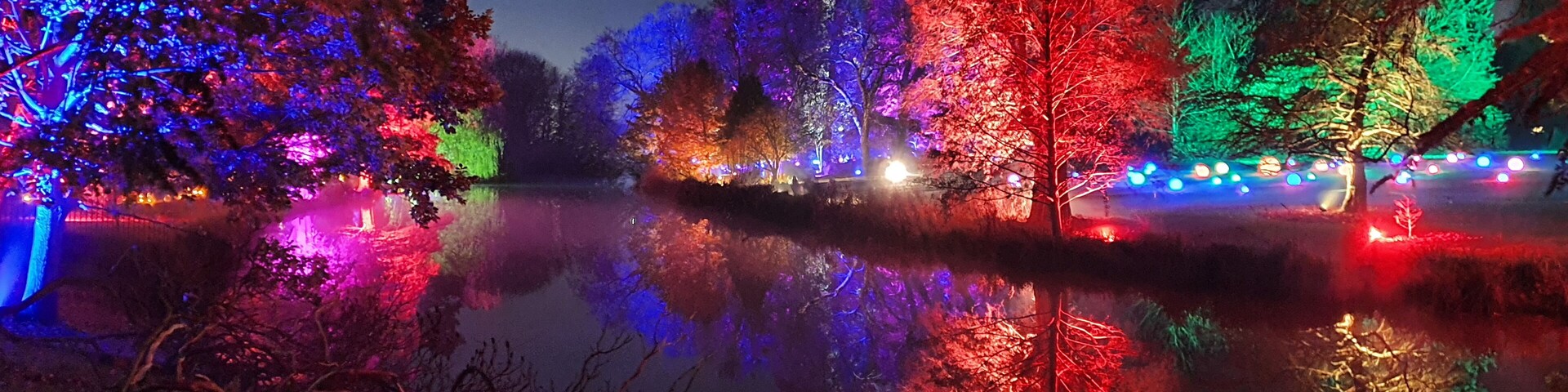 Enchanted Woodland 2020