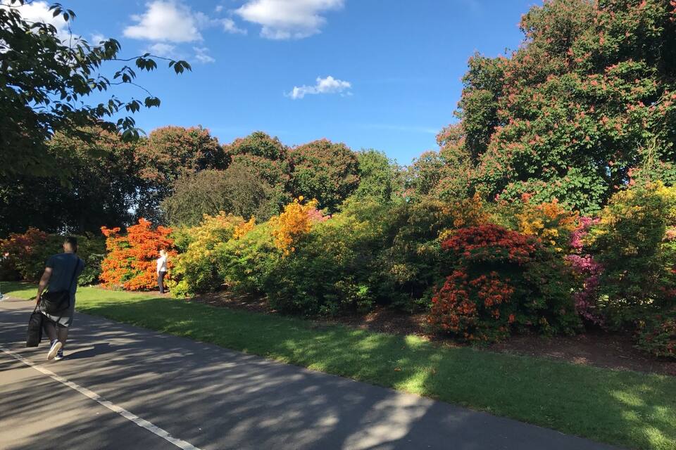 Um parque com um caminho pavimentado, folhagem outonal colorida e um céu azul claro.