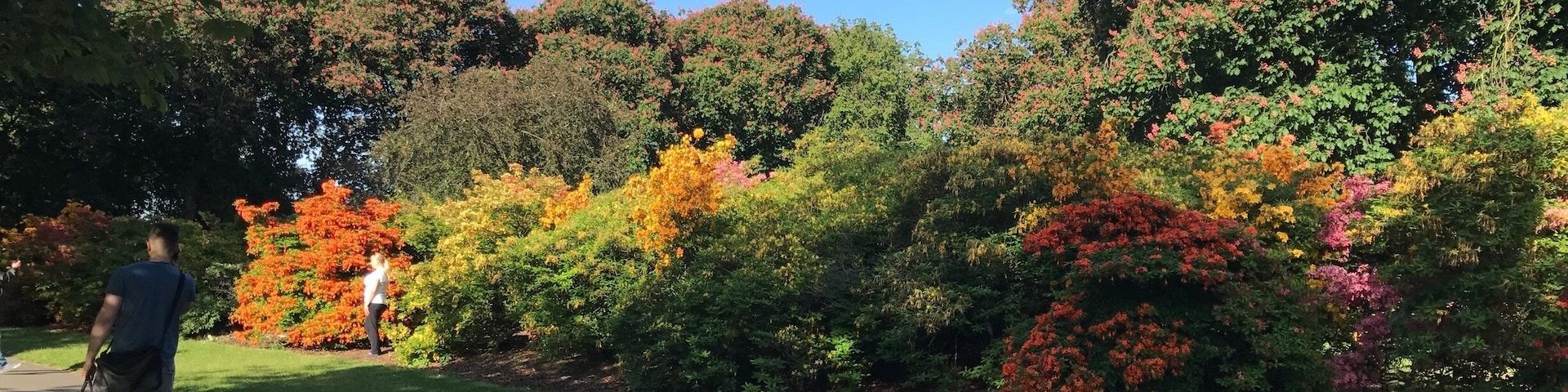 Sunshine makes green even more beautiful
#Parks photo challenge