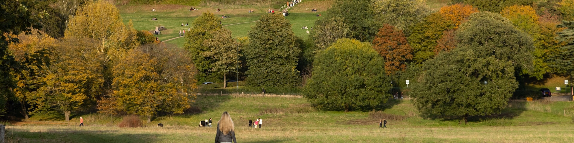 Um parque com um campo gramado, árvores com folhagem de outono e uma fileira de edifícios históricos ao fundo.