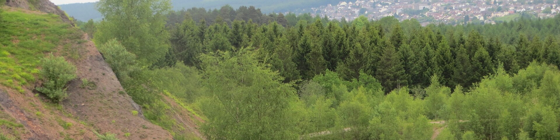 Cinderford in distance - May 2012
