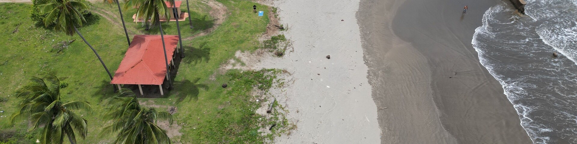 Uma praia com palmeiras, uma casa pequena e um litoral rochoso.