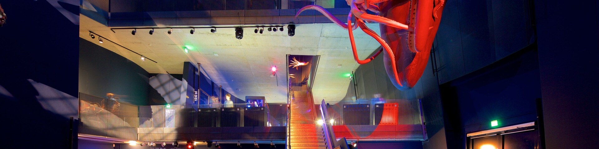 Ozeaneum que inclui vistas internas e vida marinha assim como um pequeno grupo de pessoas