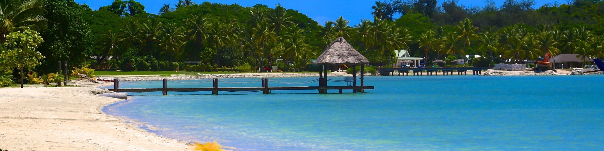 Musket Cove Marina which includes a beach and tropical scenes