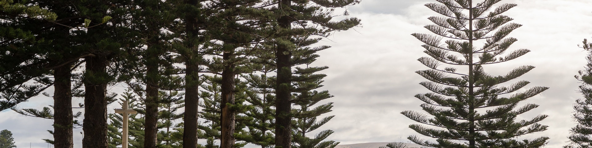 Soldier Memorial Gardens featuring a park