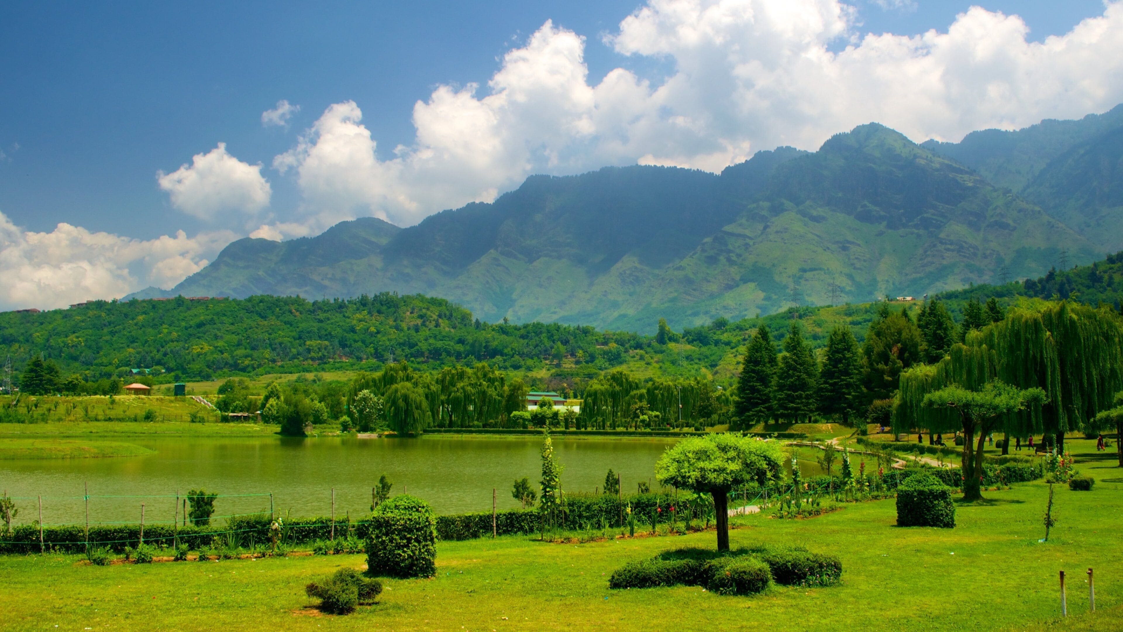 Botanical Garden showing a park and a lake or waterhole