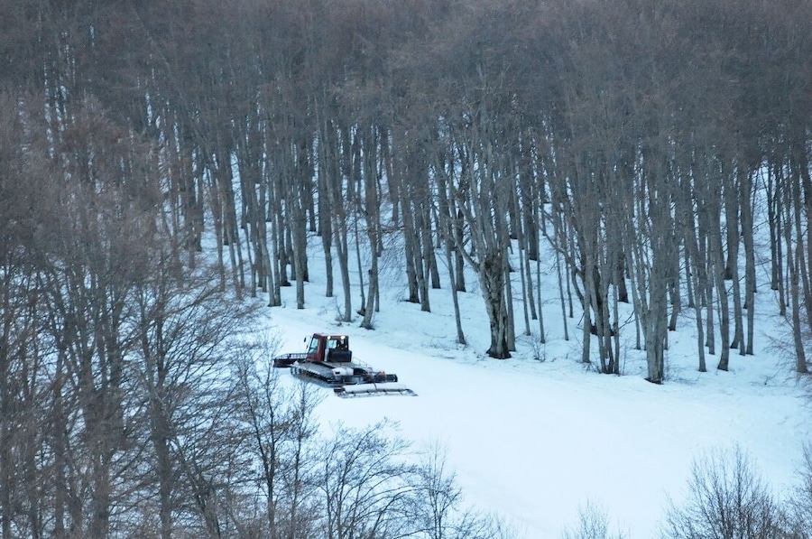 Uma floresta coberta de neve com um trator de neve abrindo caminho.