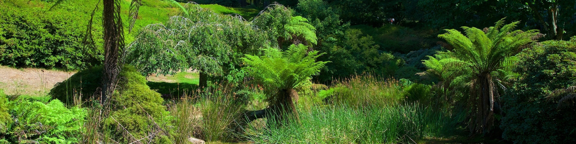 National Rhododendron Gardens featuring a garden