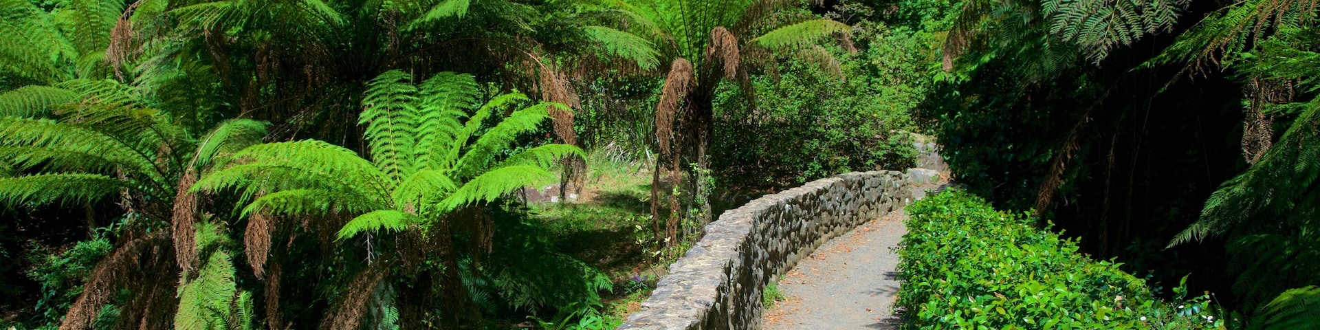 National Rhododendron Gardens featuring a garden