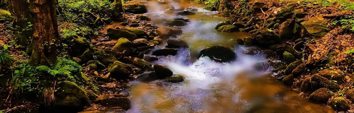 This photo was actually taken in May, but I just love it. It was one off my last hikes before I left Slovenia. It's a nice hike trough a forest path up the stream. After a half hour you see a waterfall hidden in the forest. You can go back or if your still full of energy go forward all the way to Sveti trije Kralji witch is another hour and half walking.