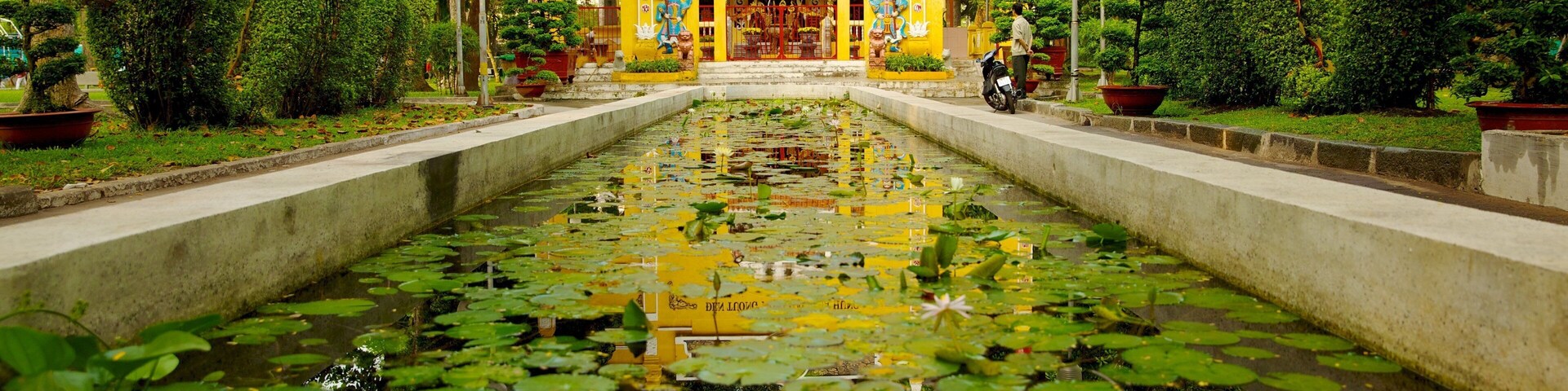 Tao Dan Park which includes a garden and a pond