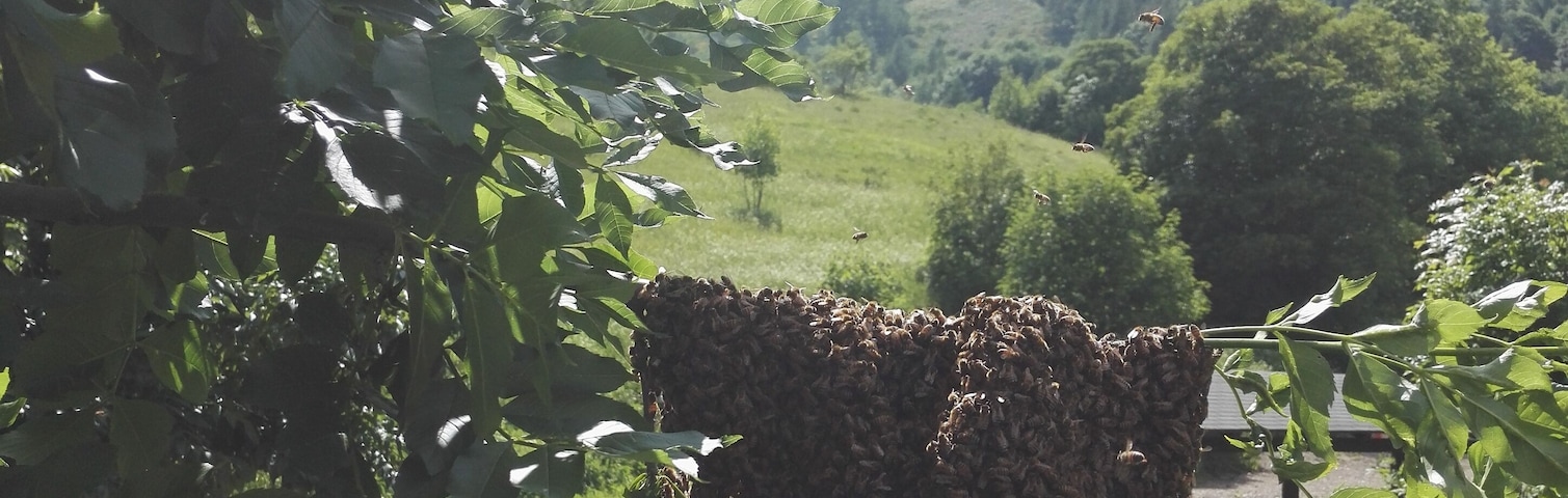 Alte Valli Stura e Maira (Q47364759)