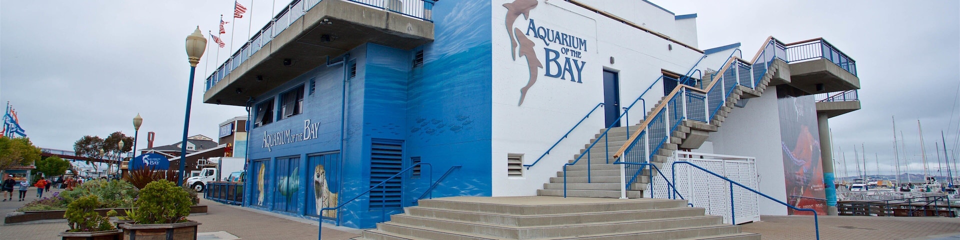 Aquarium of the Bay