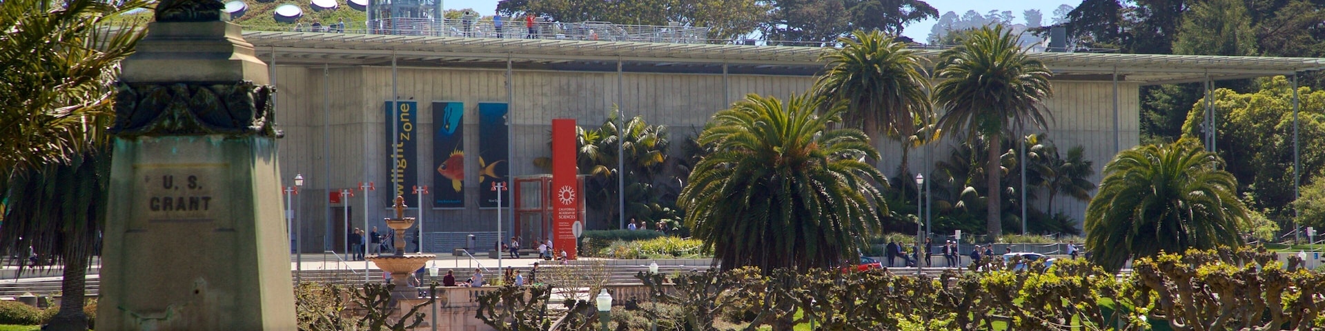Um parque com uma estátua, palmeiras e um edifício com faixas.