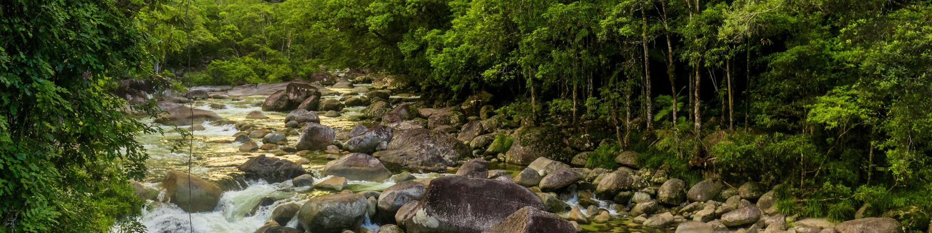 Um rio serpenteando por uma floresta com pedras grandes e vegetação verde densa.