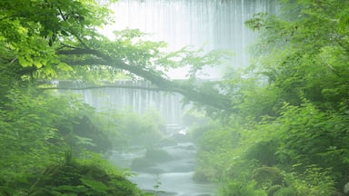 Uma floresta verde exuberante com uma cascata e um riacho.