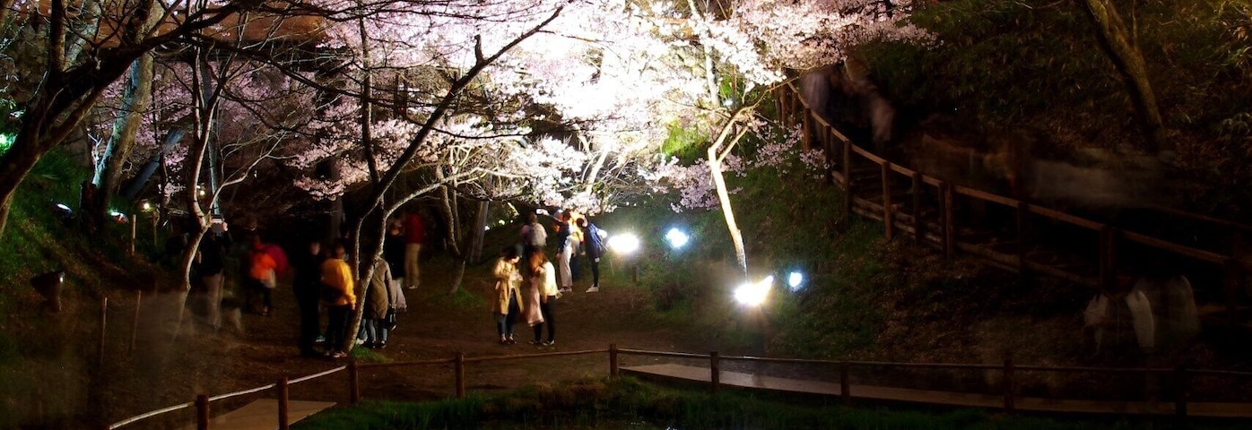 Takato Castle Ruins Park , Japan
Cherry Blossom Festival