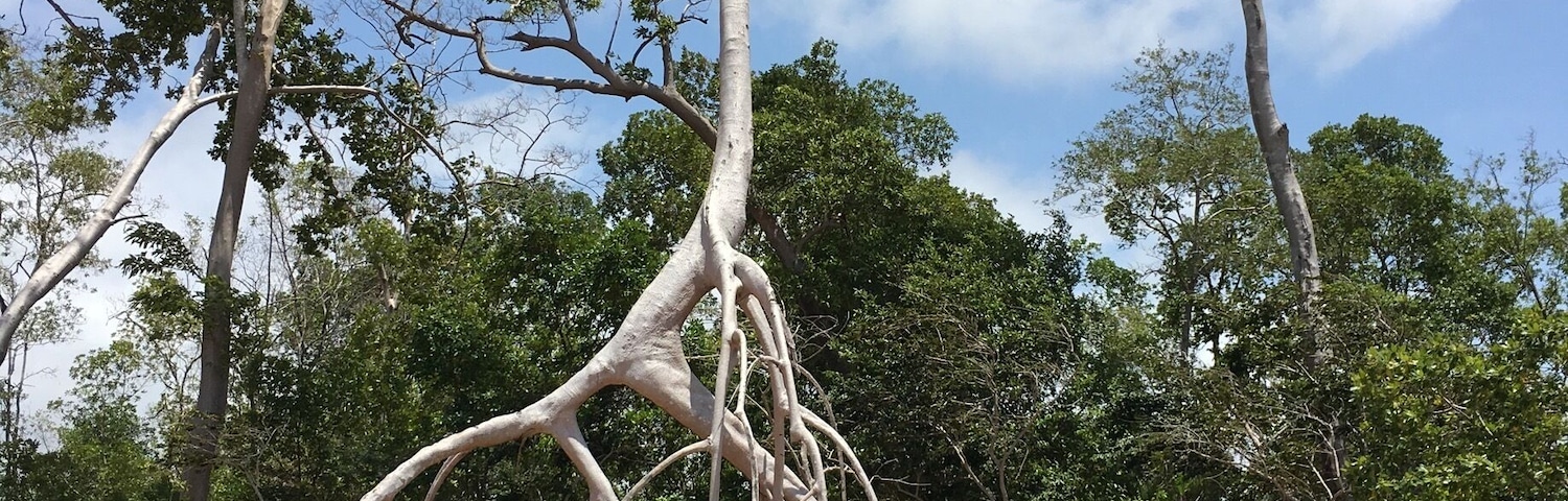 One of the most different places I ever been. Bring your sweem suit, relax and enjoy wild nature.