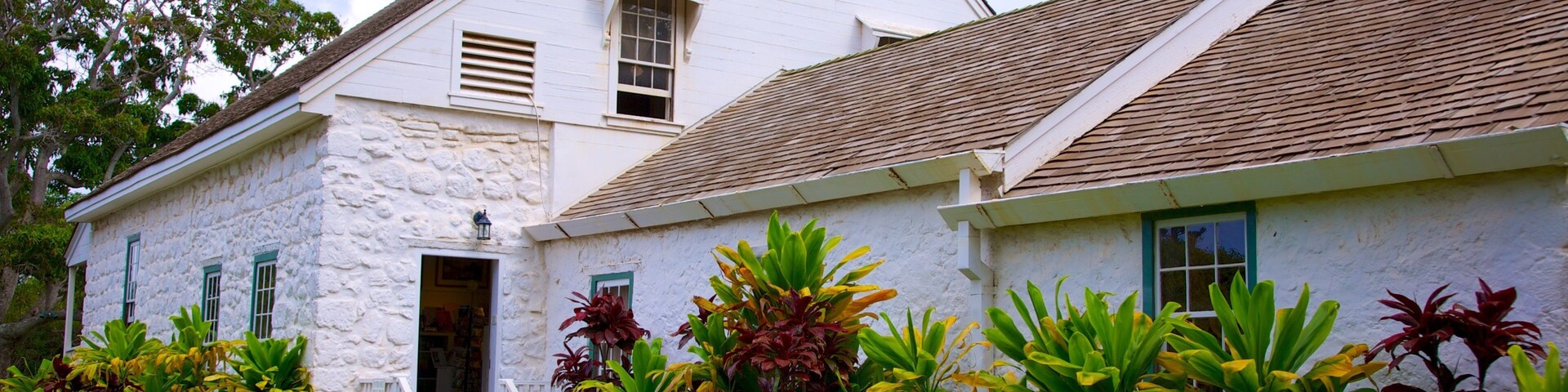 Bailey House Museum showing a house