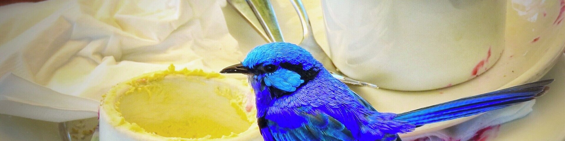 Um pássaro azul sobre um prato com comida e uma xícara.