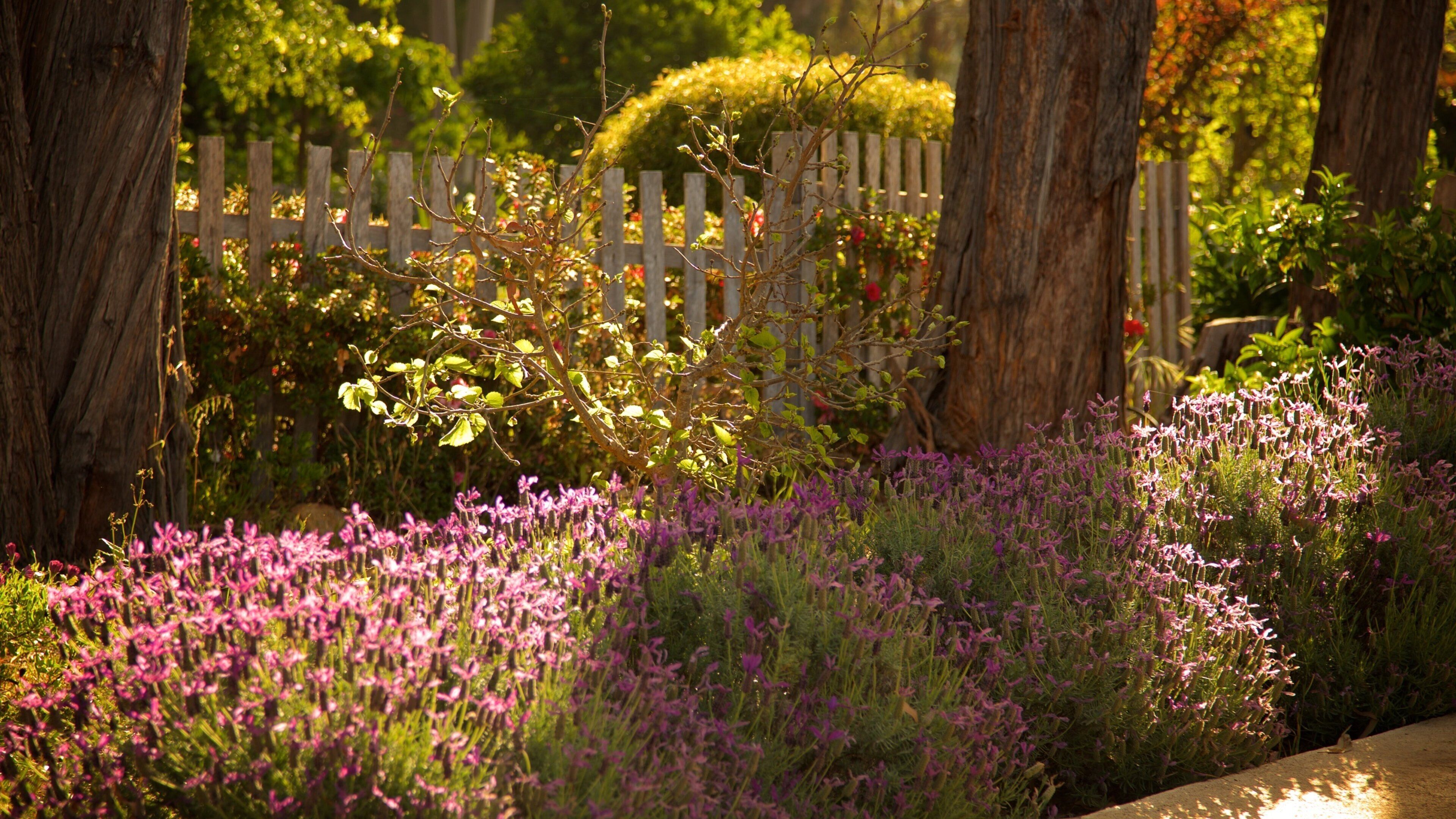 The Berry Farm featuring a garden and flowers