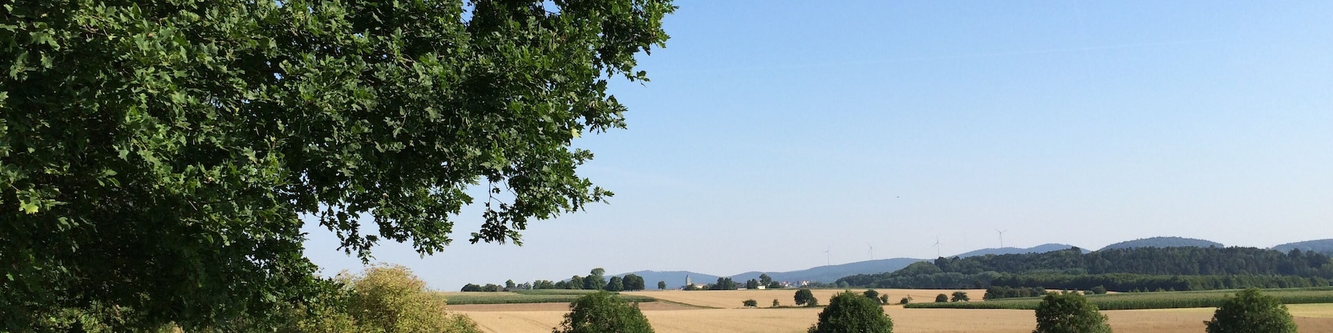 Der Volkmarser Weg (V) zwischen Bründersen und dem Naturdenkmal Raue Steine
