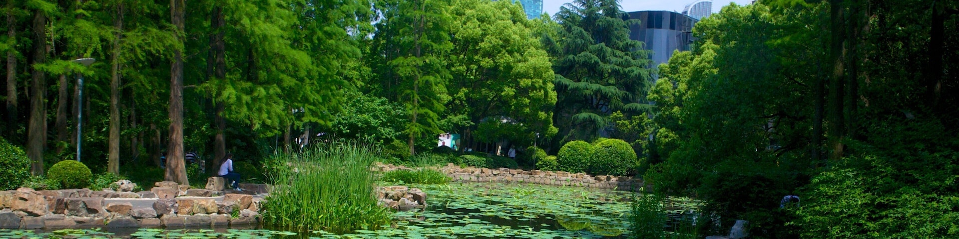 MOCA Shanghai showing a pond and a park
