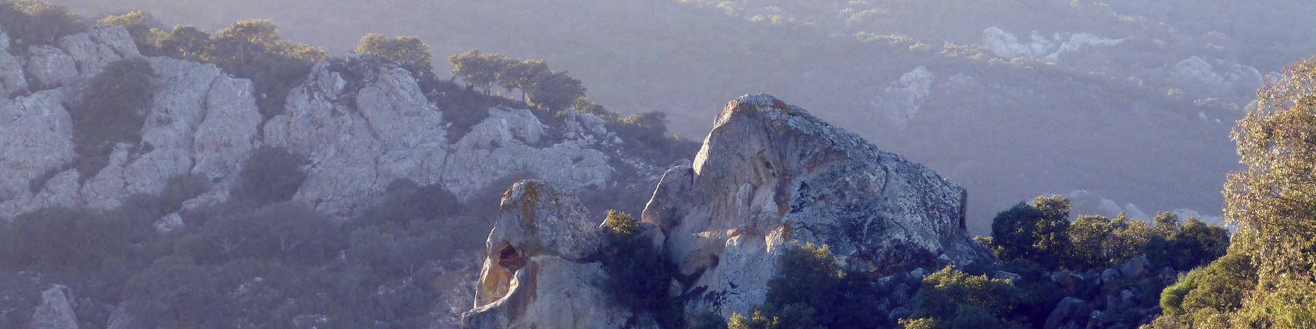 Looking into Alconocales National Park
