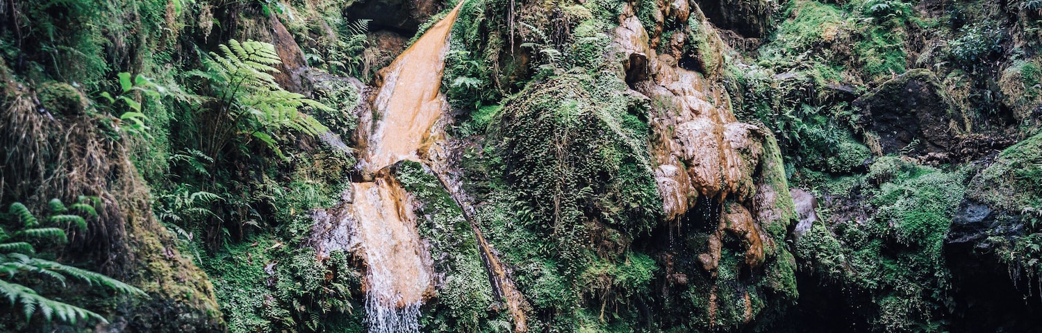 Nice warm nature shower at Caldeira Velha, one fantastic natural hotspring between palms and ferns. I think a place where many tropical waterparks get their inspiration.
#azores #hotsprings #places #sao_miguel #waterfall #hot #springs #nature
Make sure you follow me on:
https://www.facebook.com/ShotByCanipel/
https://www.instagram.com/canipel/