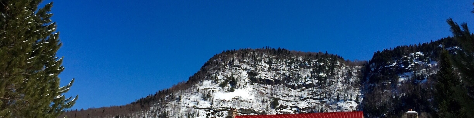 Seen near the North side of Mt Tremblant