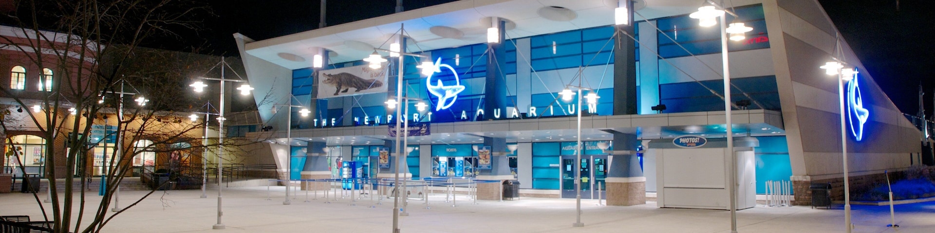 Newport Aquarium mostrando cenas noturnas e vida marinha