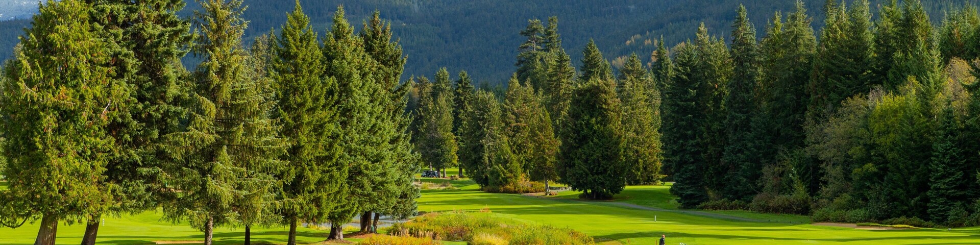 Whistler Golf Club featuring a pond and golf