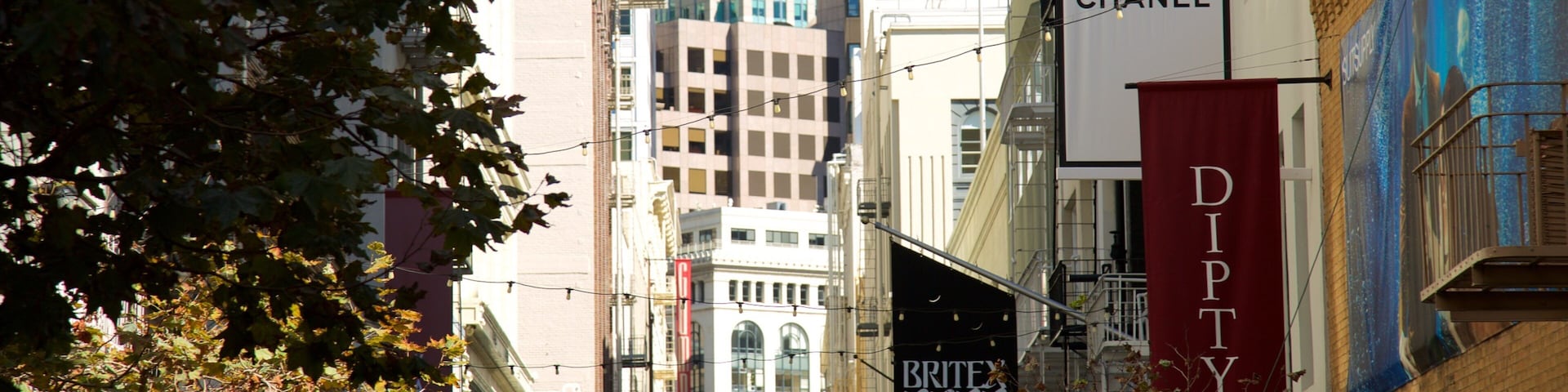 Maiden Lane showing signage, a city and central business district